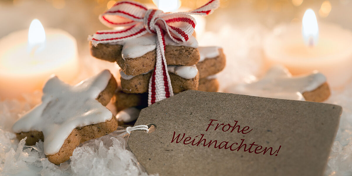 Unser Weihnachtsangebot 2024